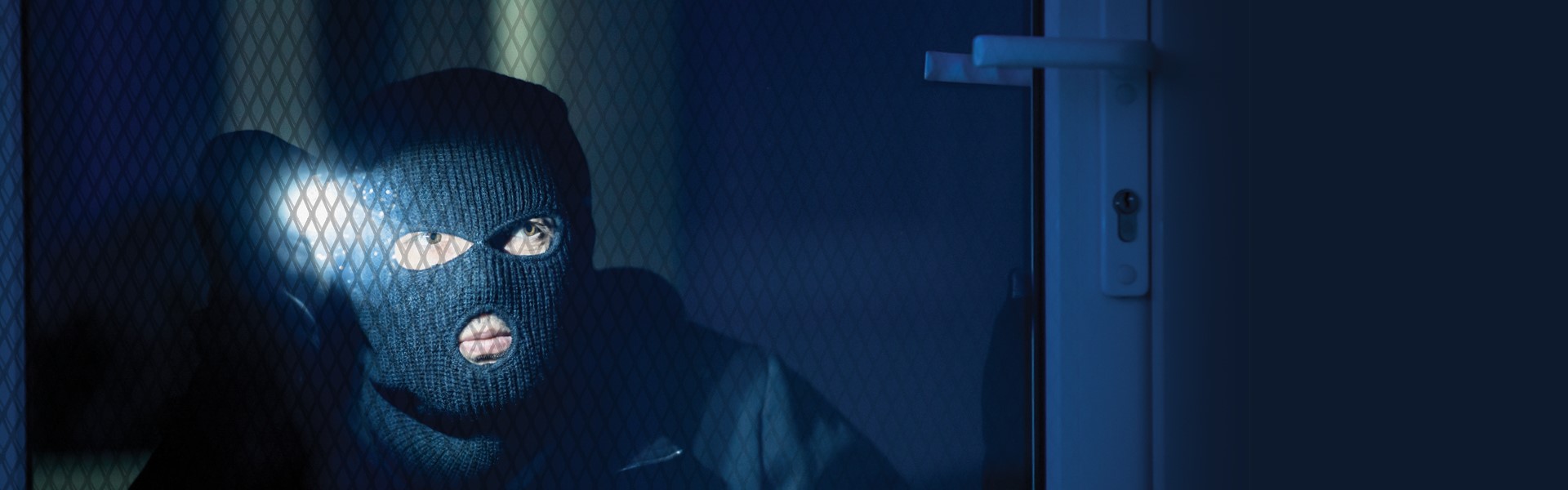 Six Reasons to Install Security Screens in Your Home - FD Shutters